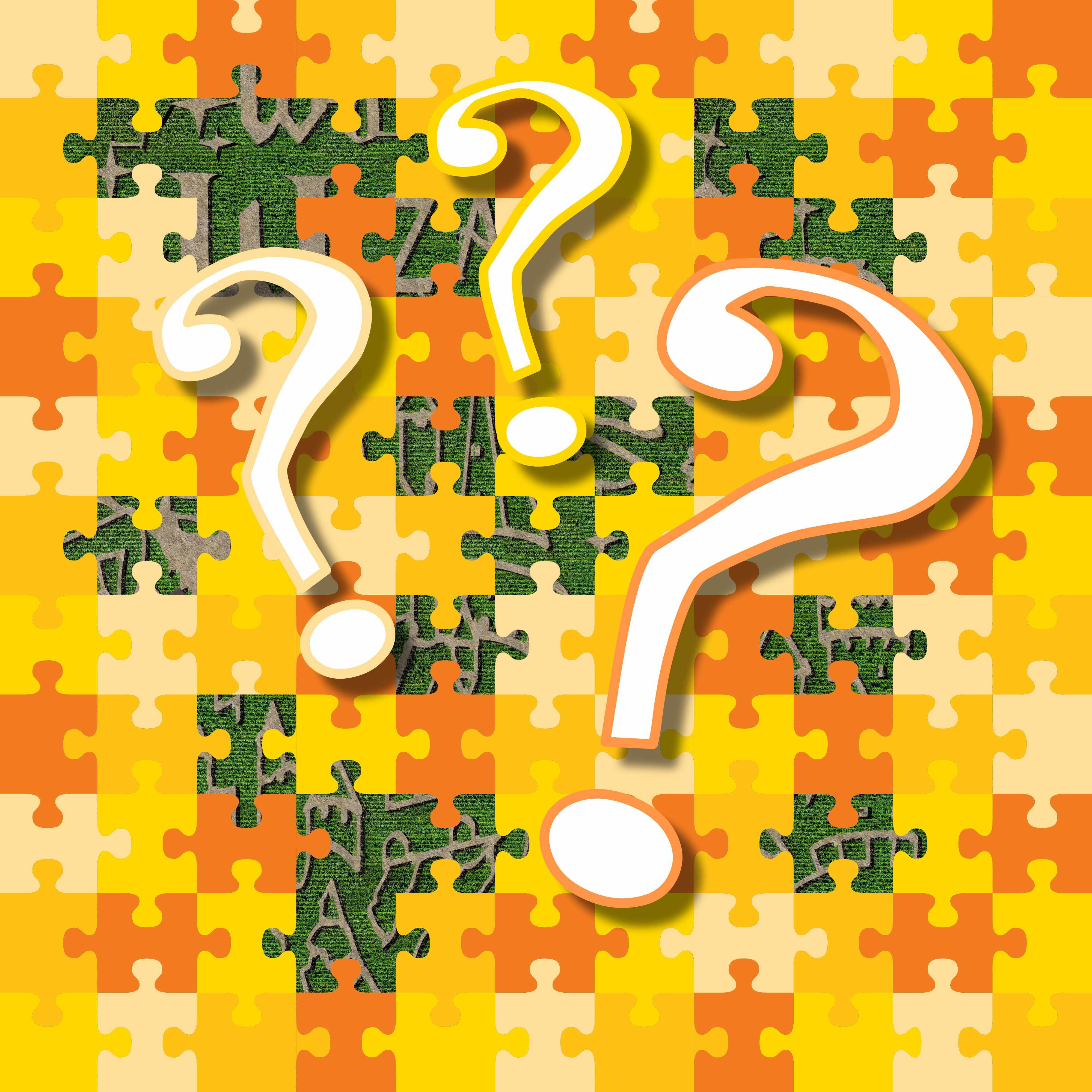 Maze Design Puzzle Reveal – The MAiZE