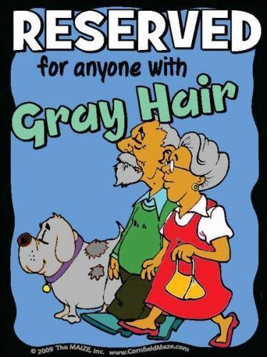 Signs – Page 3 – The MAiZE