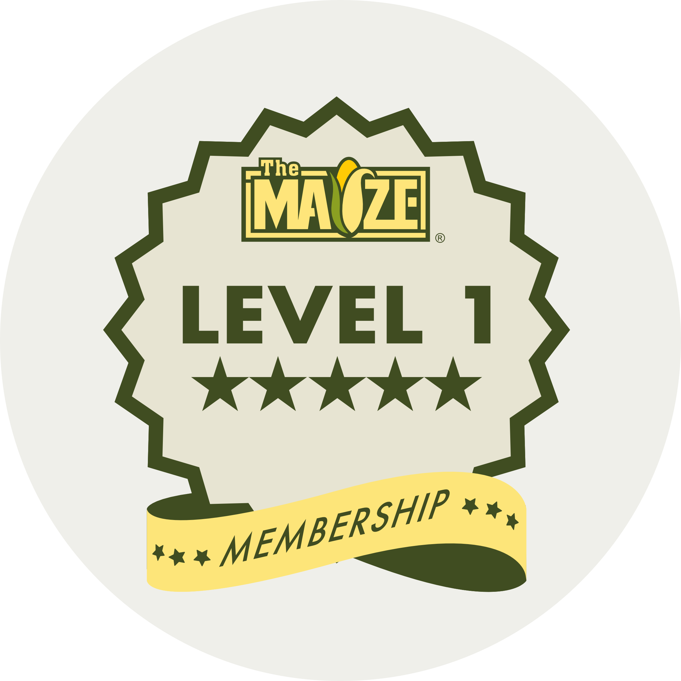 Level 1 – The MAiZE